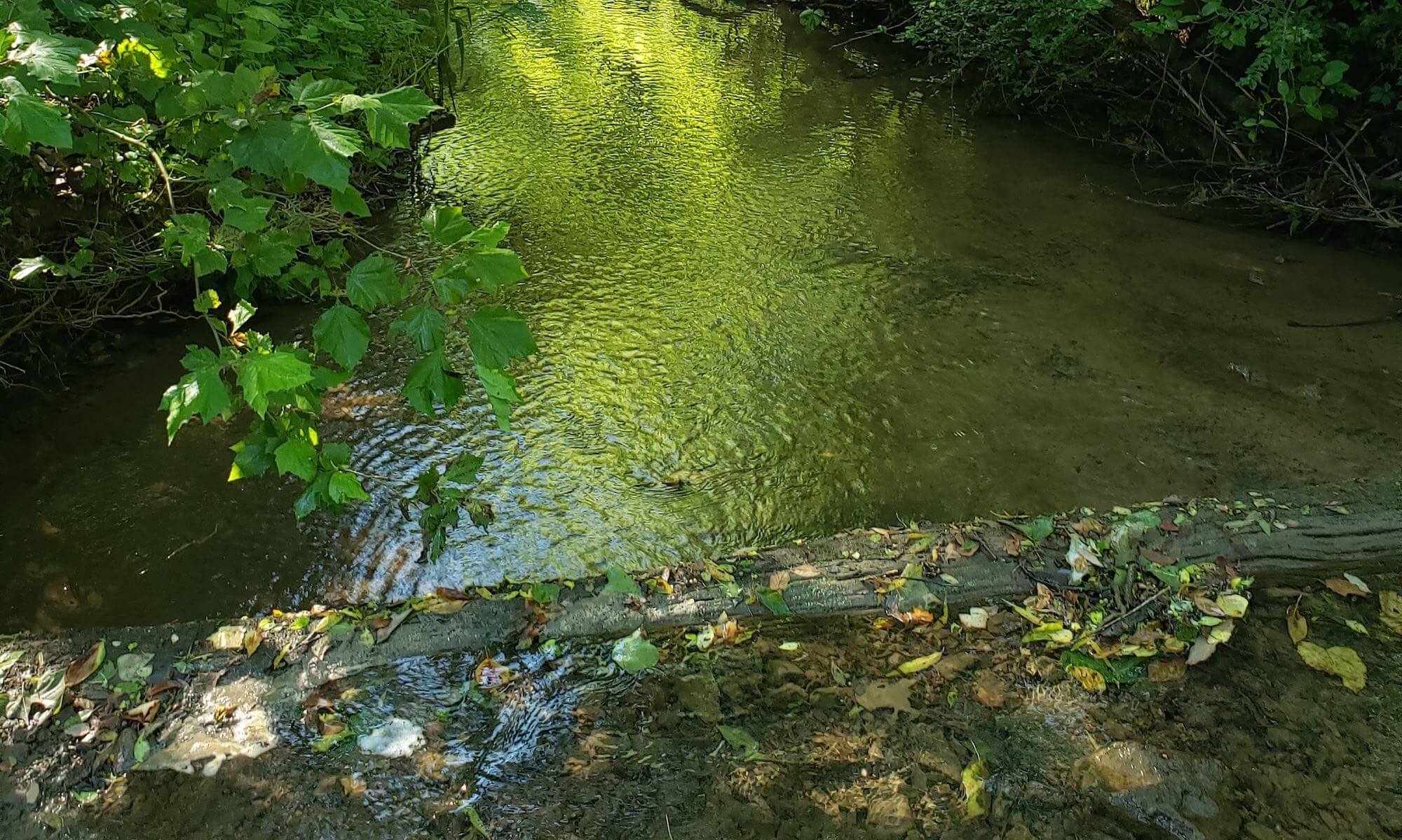 Fresh Tennessee Springwater – Engineered Spirits